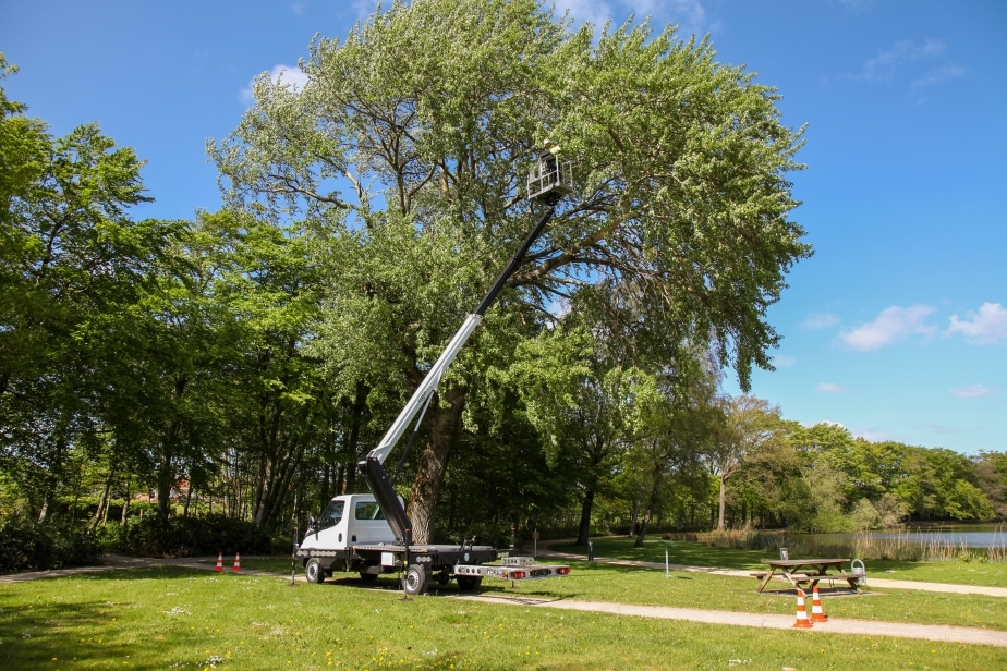 The Best Access Platforms For Arborists | Versalift United Kingdom